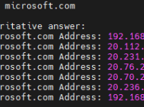 마이크로소프트에서 microsoft.com DNS 를 192.168.1.1 을 넣었었다고 하네요. > Computer - IT 노하우 뉴스 정보 공유 커뮤니티